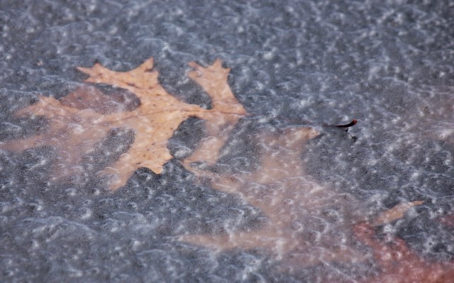 A Little Something for the New Year – Walk as Children of Light