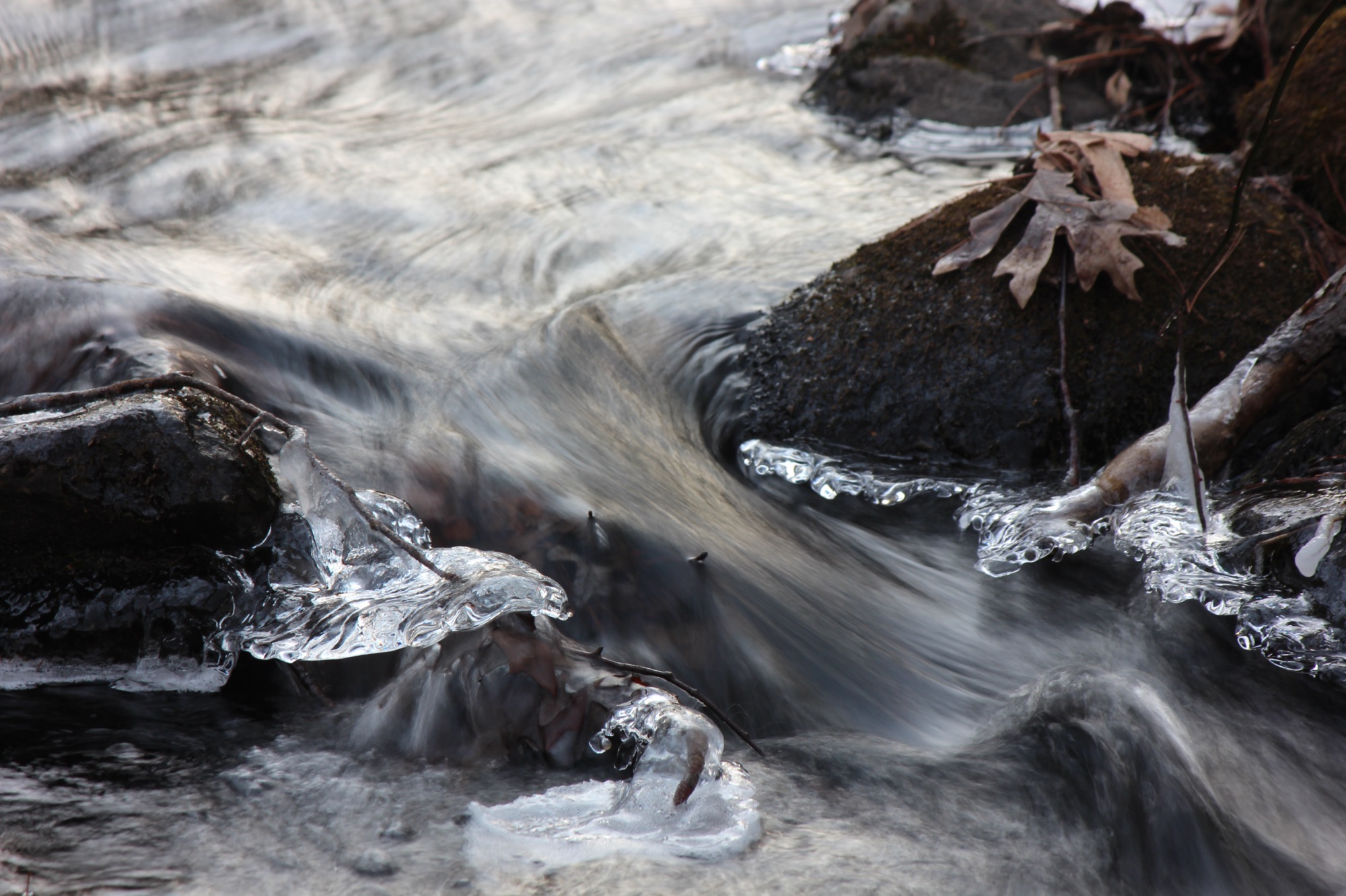 A Little Something for the New Year – Walk as Children of Light