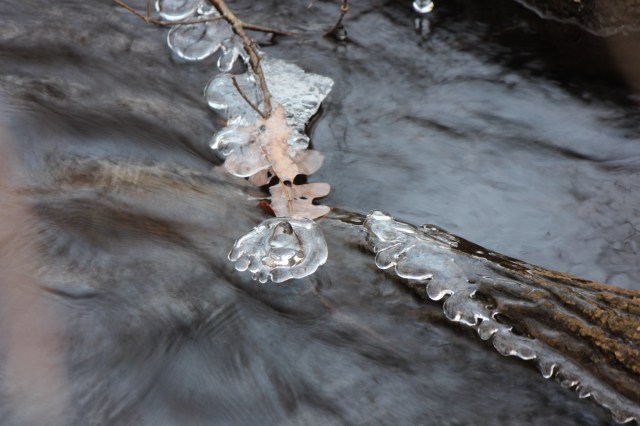 A Little Something for the New Year – Walk as Children of Light