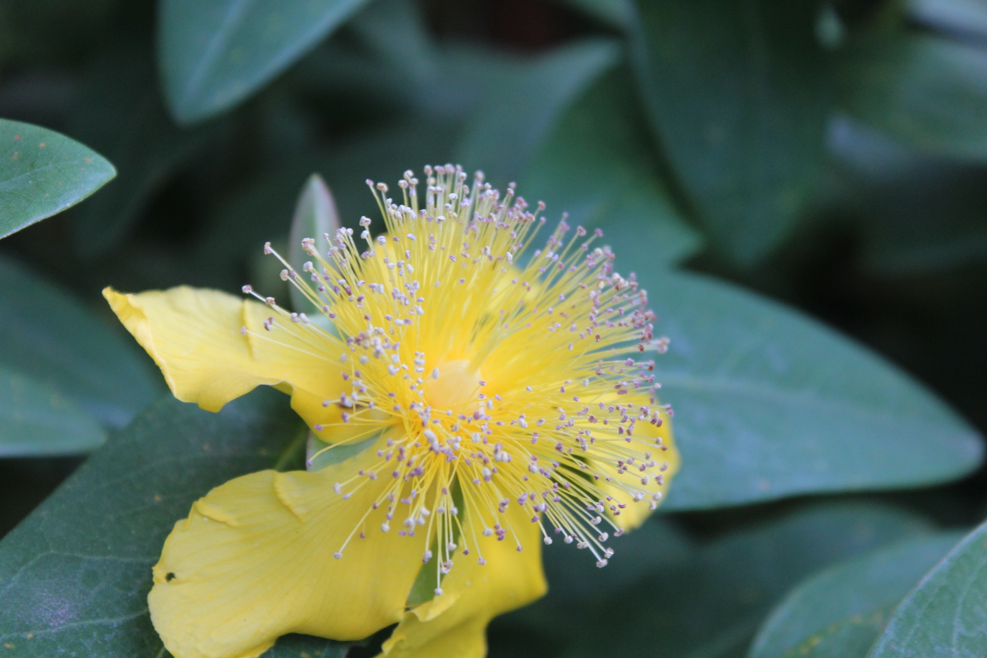 A Little Something from Graduation Weekend – Walk as Children of Light